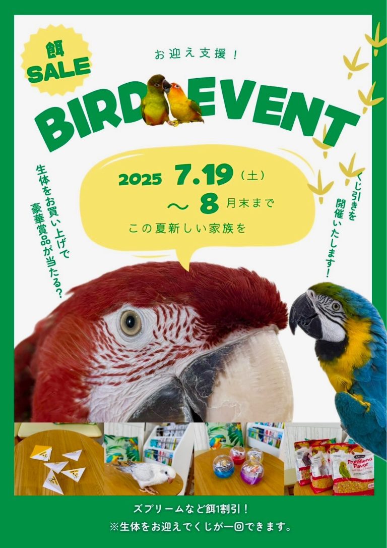 お迎え支援くじ引き開催 | Flap-bird